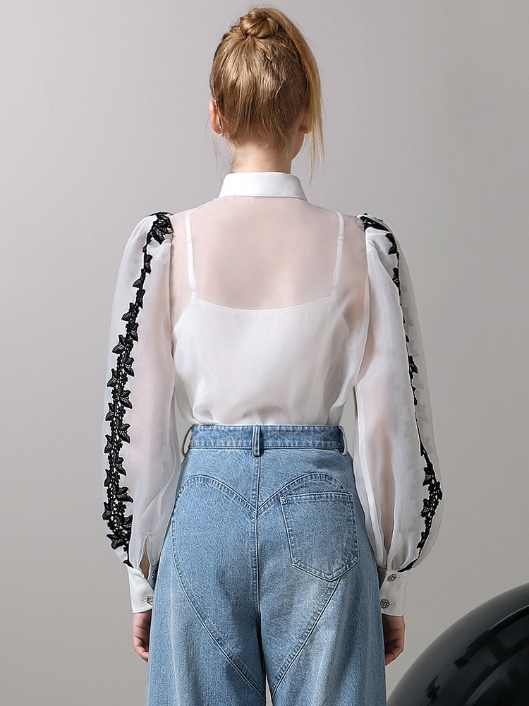 Lace Ribbon Sheer Balloon-Sleeve Blouse – ARCANA ARCHIVE
